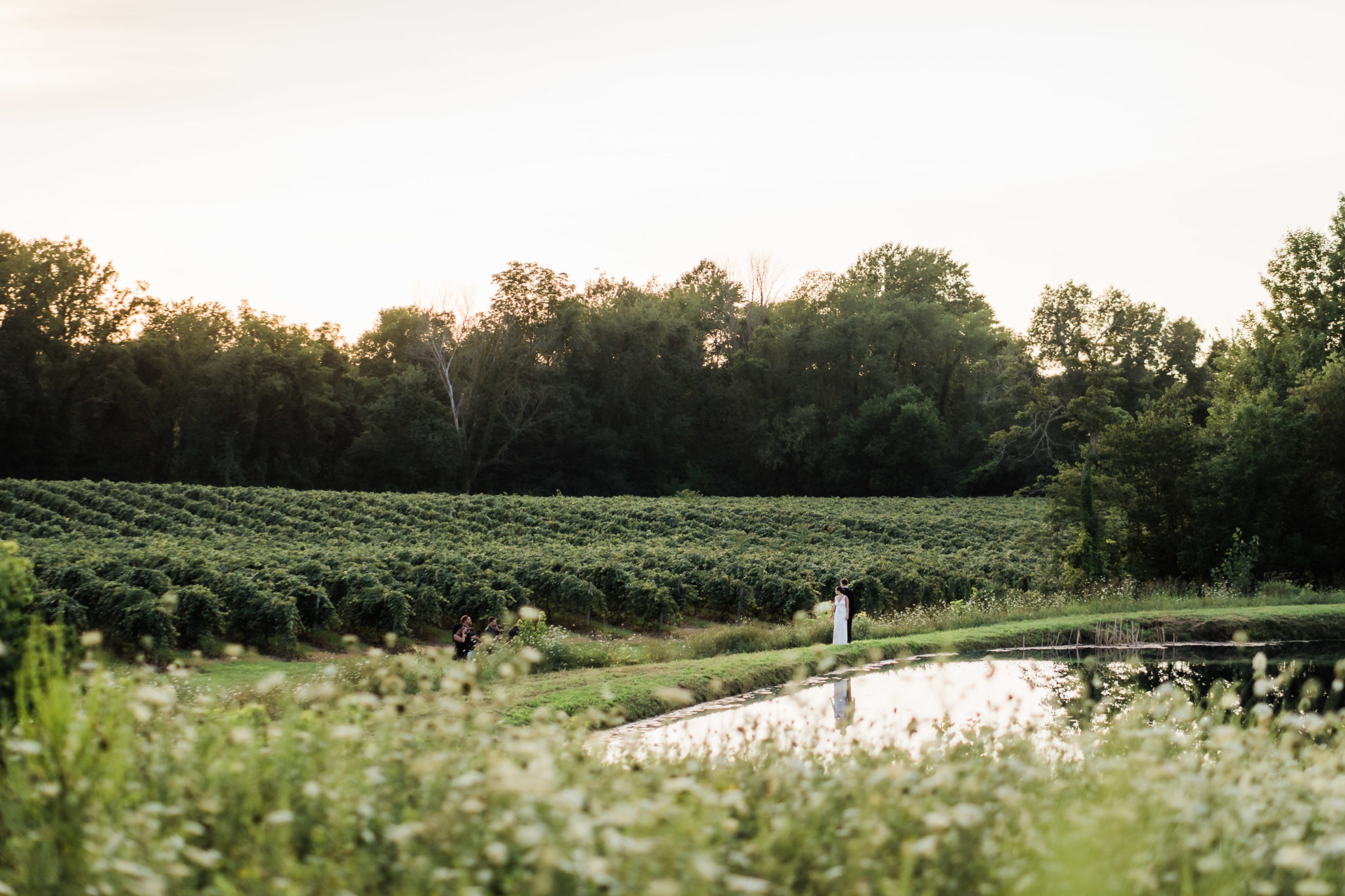 The Vineyard - Hidden Vineyard Wedding Barn